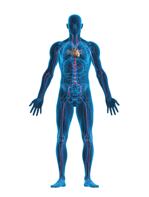 4 Levels of Medical Approach - EINUMM