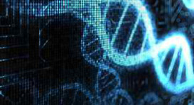 Genomi umano e microbico, applicazioni correnti e sviluppi futuri